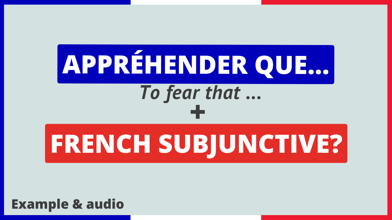 Appréhender que (To fear that) + French Subjunctive? - French Online ...