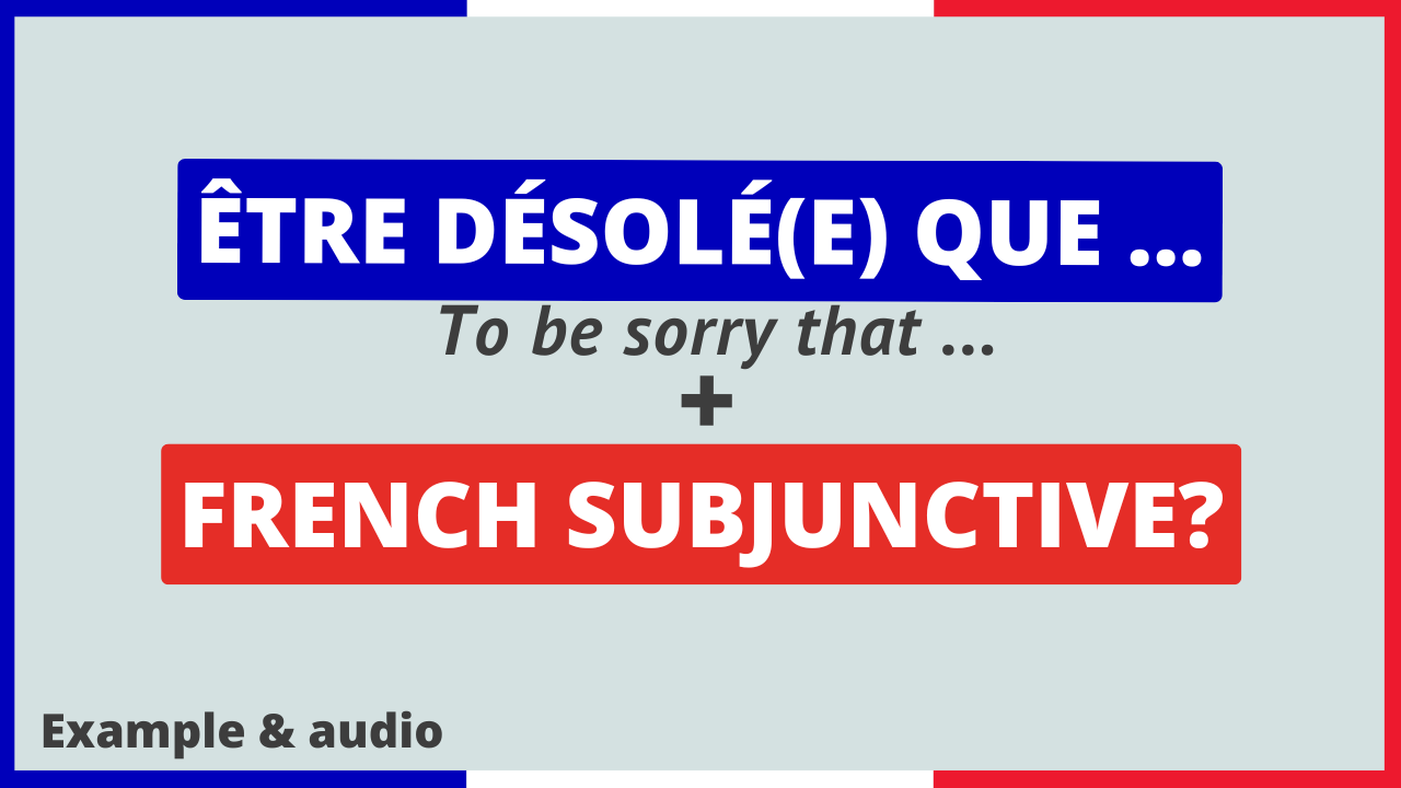 Être désolé (désolée) que (To be sorry that) + French Subjunctive ...
