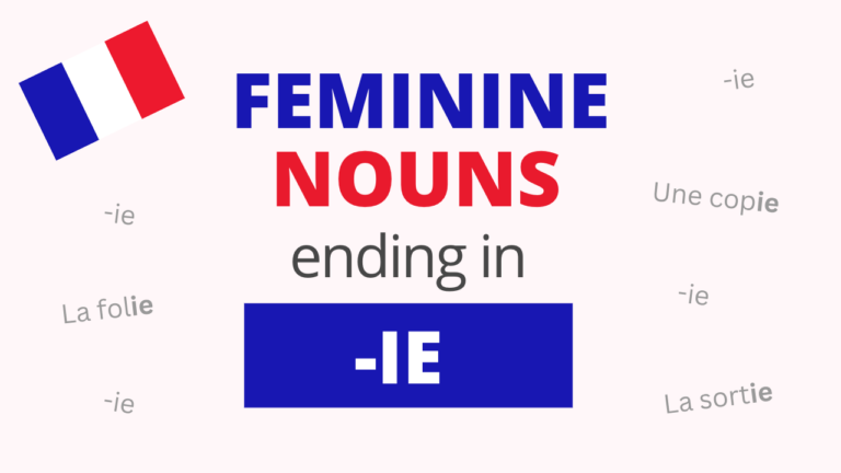 French Feminine Nouns Ending in ELLE - French Online Language Courses ...