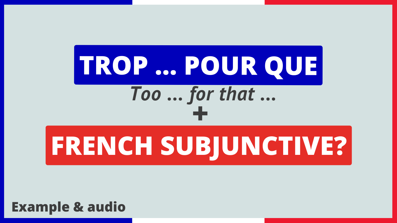 Trop ... pour que (Too ... for that) + French Subjunctive? - French ...