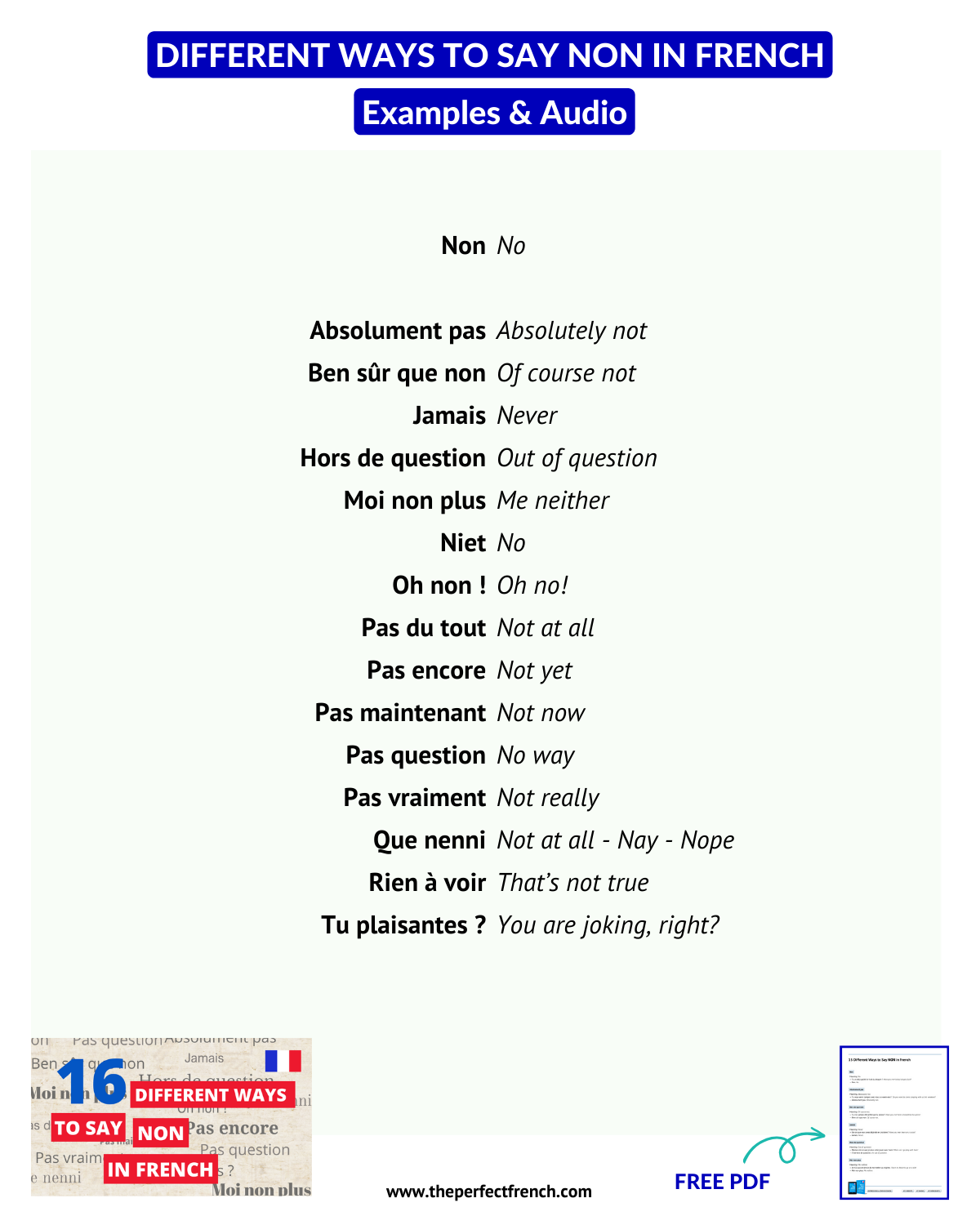 16 Different Ways to Say NON in French - French Online Language Courses ...