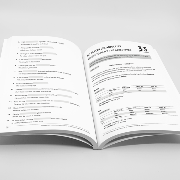 French Grammar Workbook - 50 French Grammar and Conjugation Activities ...