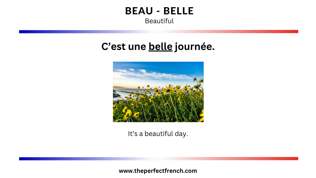 French Word of the Day - Beau - Belle (Beautiful) - French Online ...
