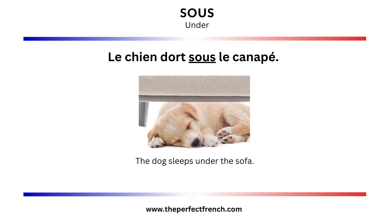 French Word of the Day - Sous (Under) - French Online Language Courses ...