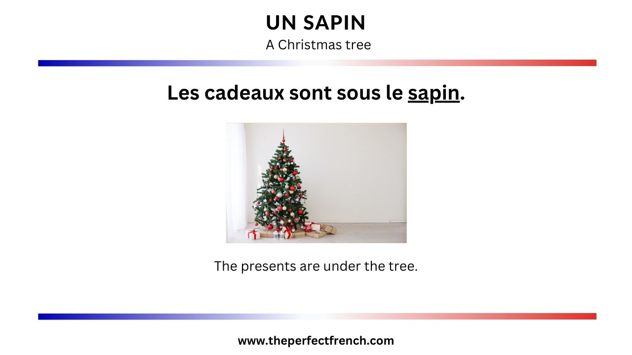 French Word of the Day - Un sapin (A Christmas Tree) - French Online ...