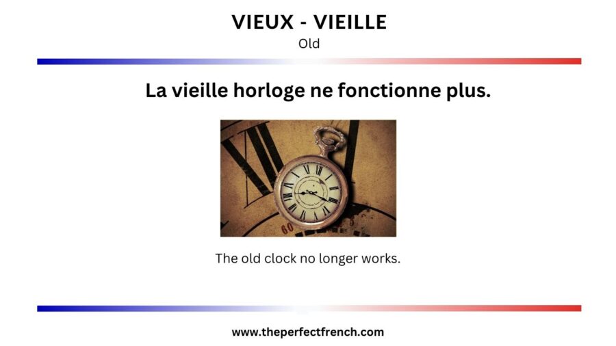 French Word of the Day - Vieux - Vieille (Old) - French Online Language ...