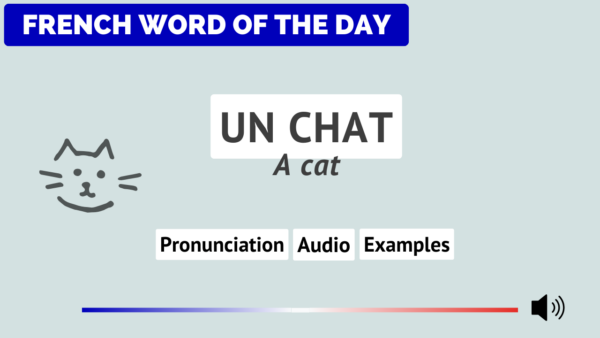 French Word of the Day - Un chat (A Cat) - French Online Language ...