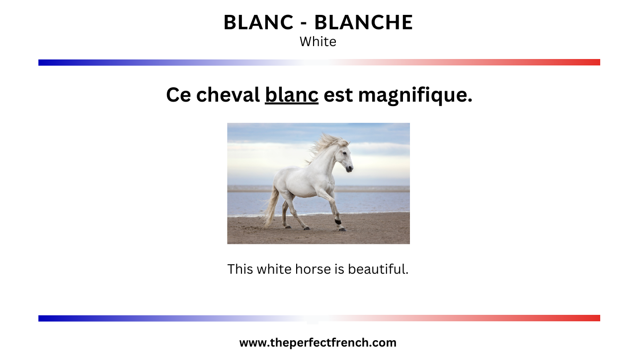 French Word of the Day - Blanc - Blanche (White) - French Online ...