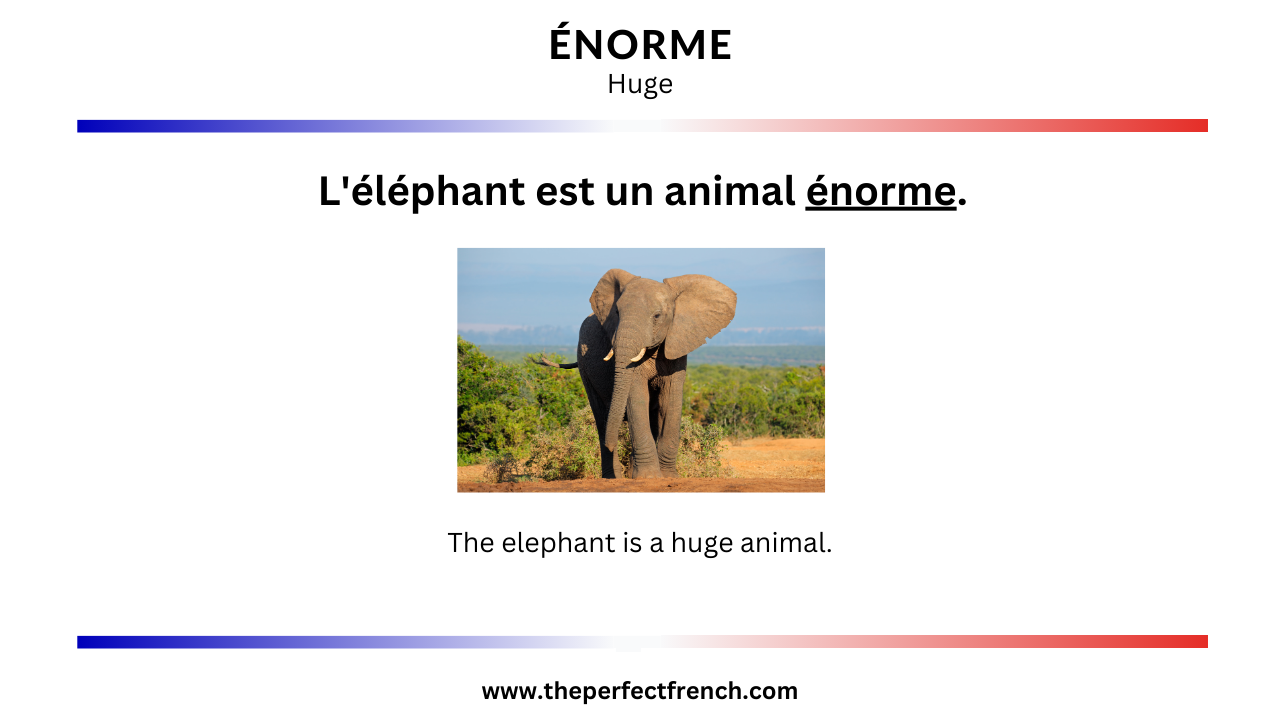 French Word of the Day - Énorme (Huge) - French Online Language Courses ...