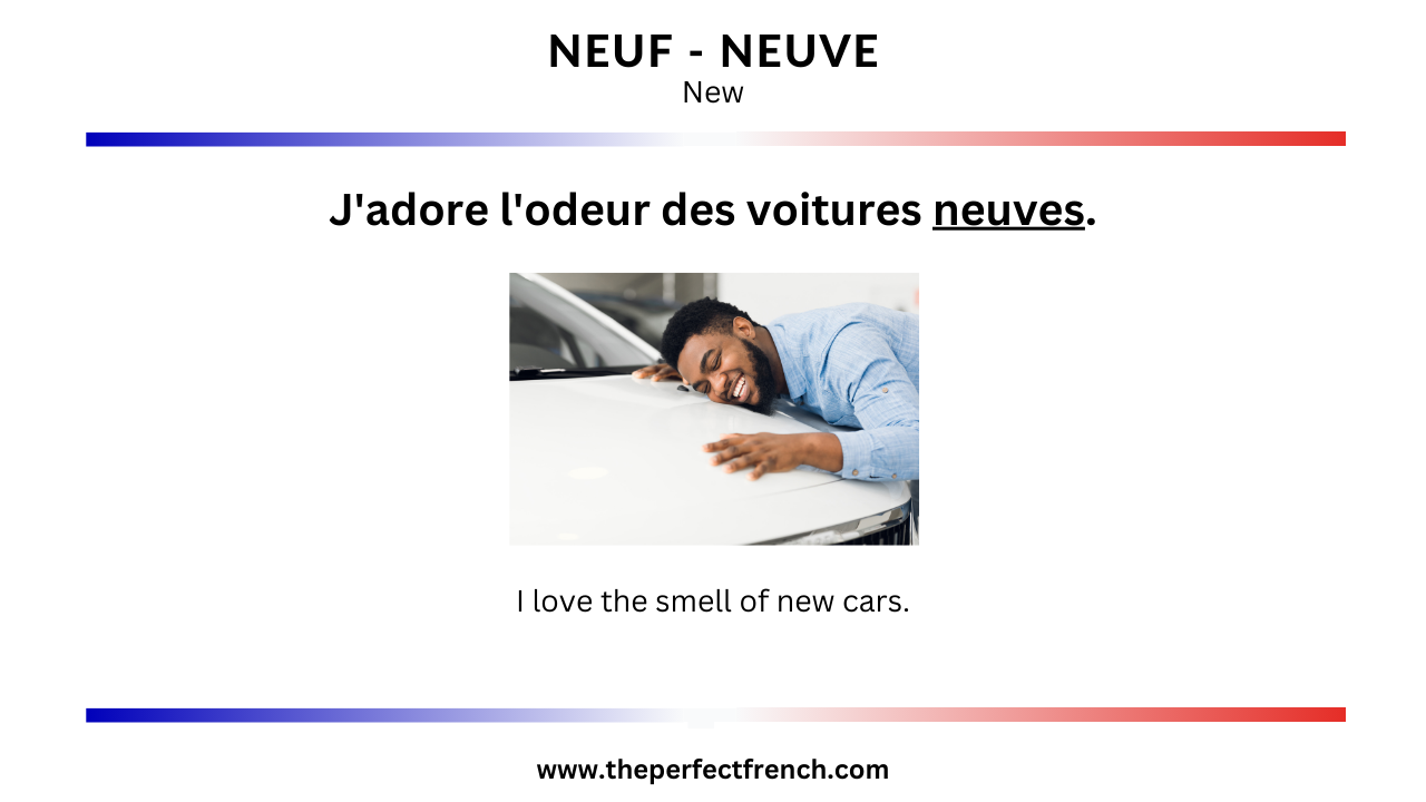 French Word of the Day - Neuf - Neuve (New) - French Online Language ...
