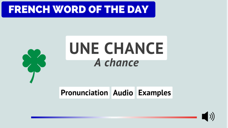 French Feminine Nouns Ending in ELLE - French Online Language Courses ...