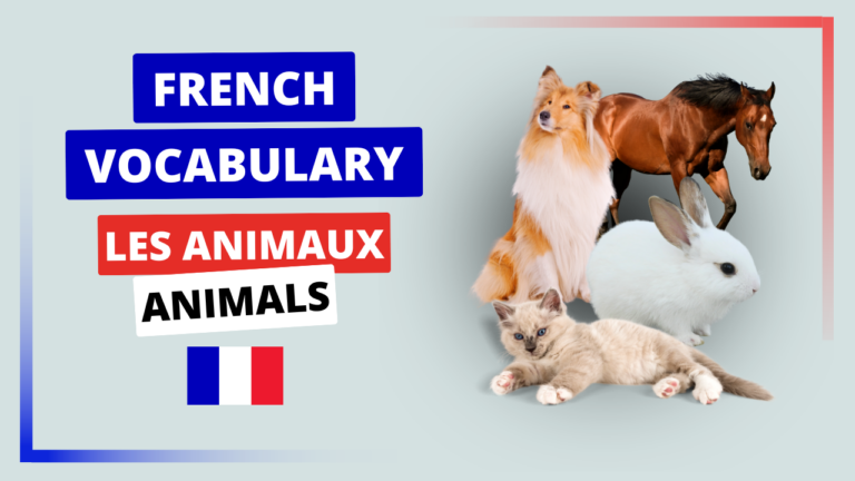 French Word of the Day - Un chien (A Dog) - French Online Language ...