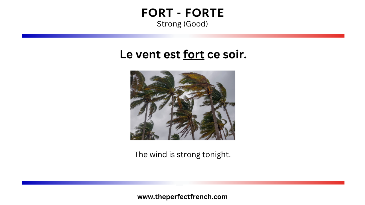 French Word of the Day - Fort - Forte (Strong/Good) - French Online ...