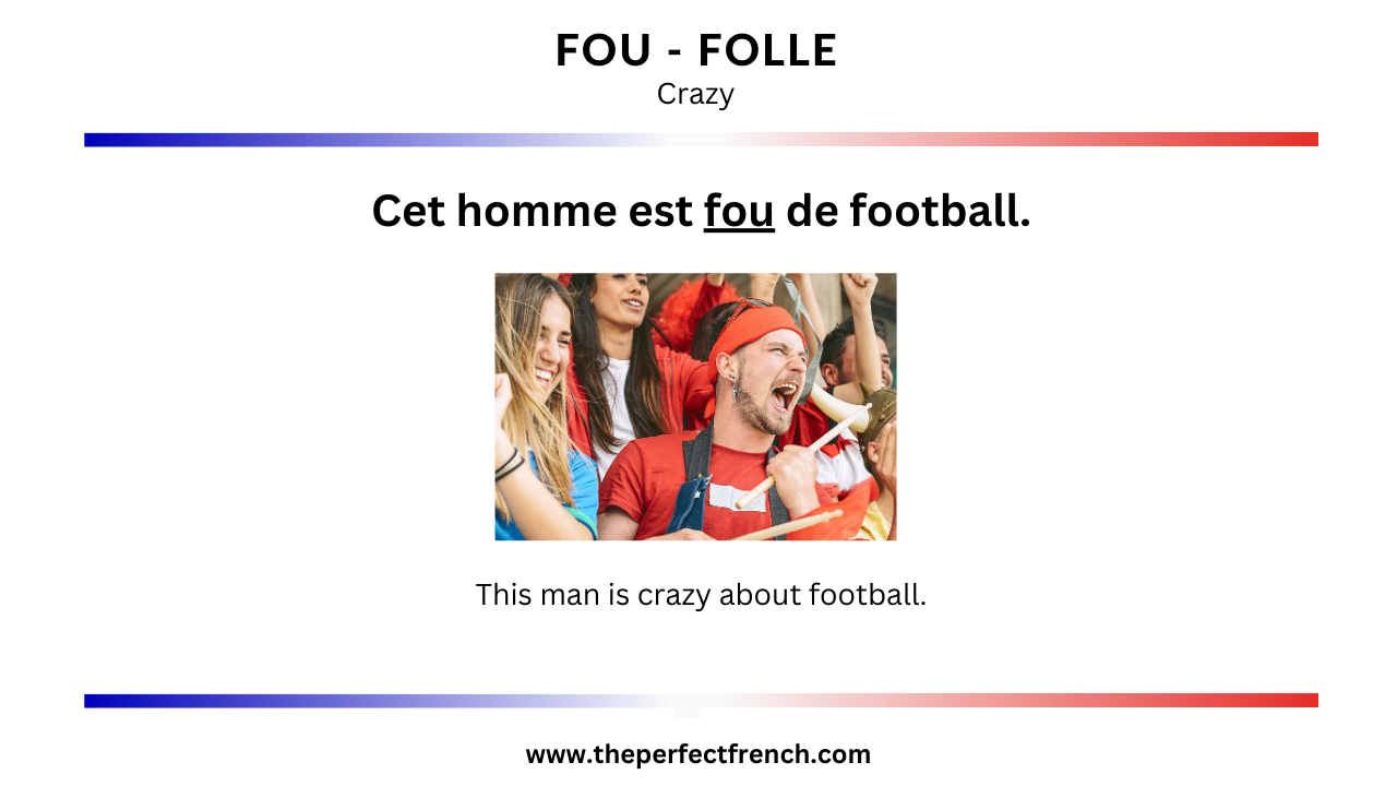 French Word of the Day - Fou - Folle (Crazy) - French Online Language ...