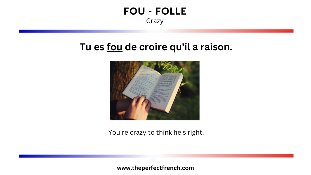 French Word of the Day - Fou - Folle (Crazy) - French Online Language ...