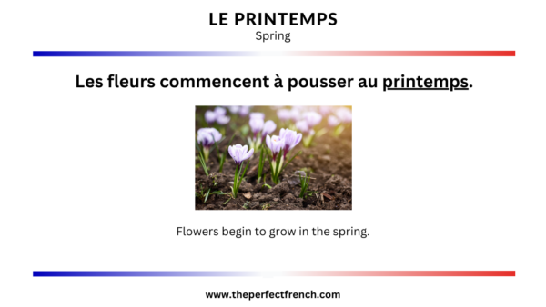 French Word of the Day - Le printemps (Spring) - French Online Language ...