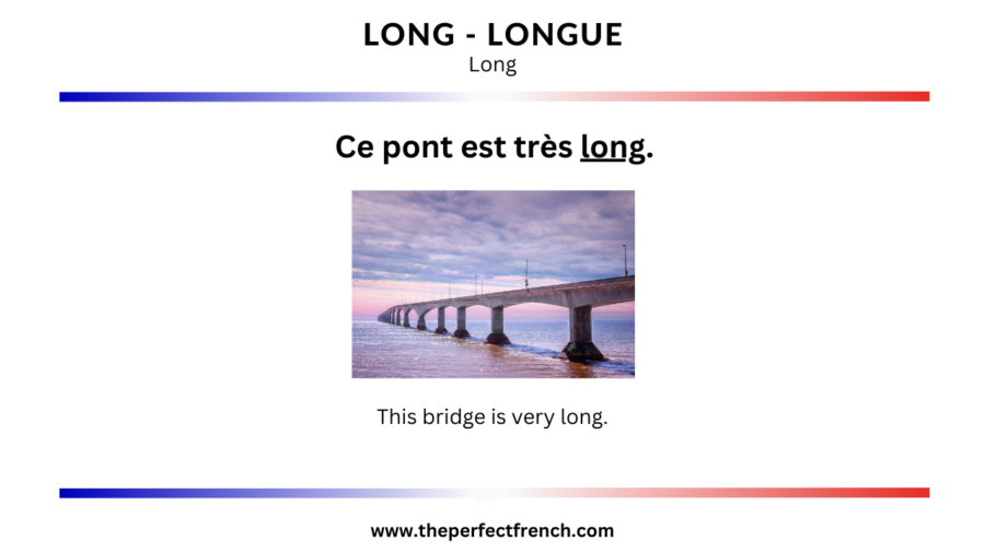 French Word of the Day - Long - Longue (Long) - French Online Language ...