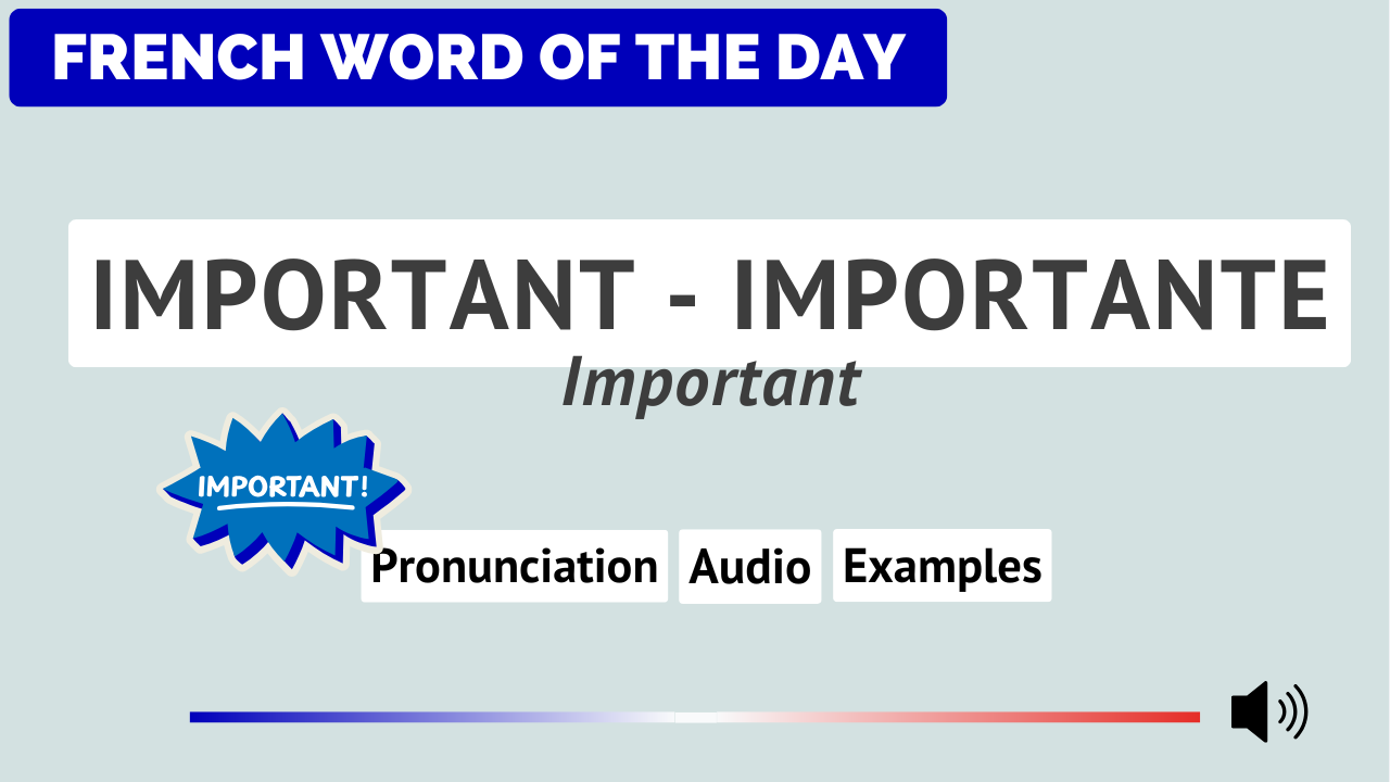 193 Common French Adjectives - French Online Language Courses | The ...