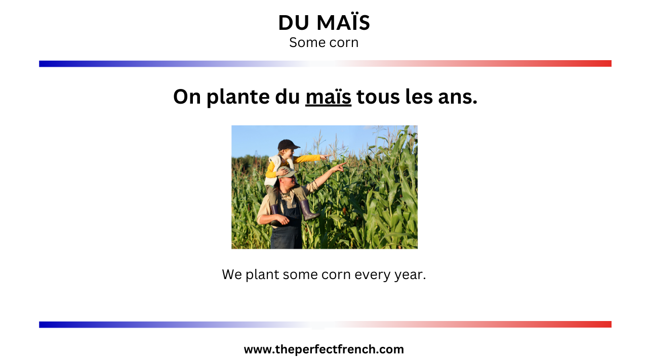 French Word of the Day - Du maïs (Some Corn) - French Online Language ...