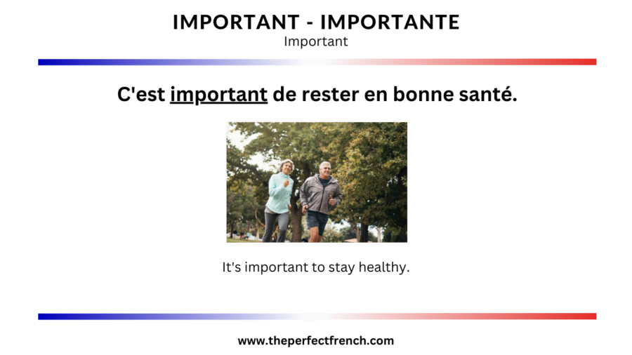 French Word of the Day - Important - Importante (Important) - French ...