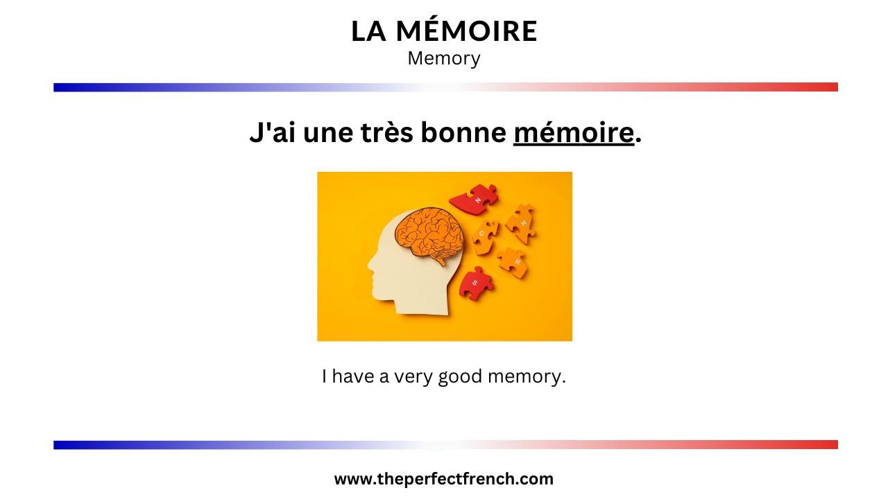 The Word Memories In French