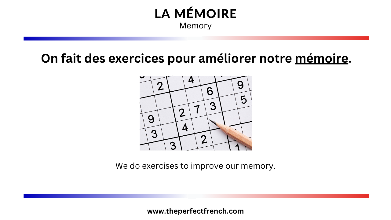 French Word of the Day - La mémoire (Memory) - French Online Language ...
