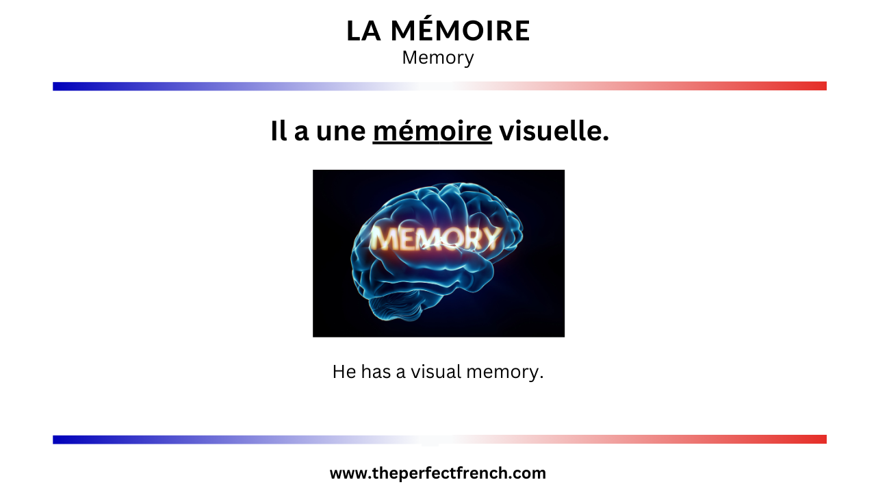 French Word of the Day - La mémoire (Memory) - French Online Language ...