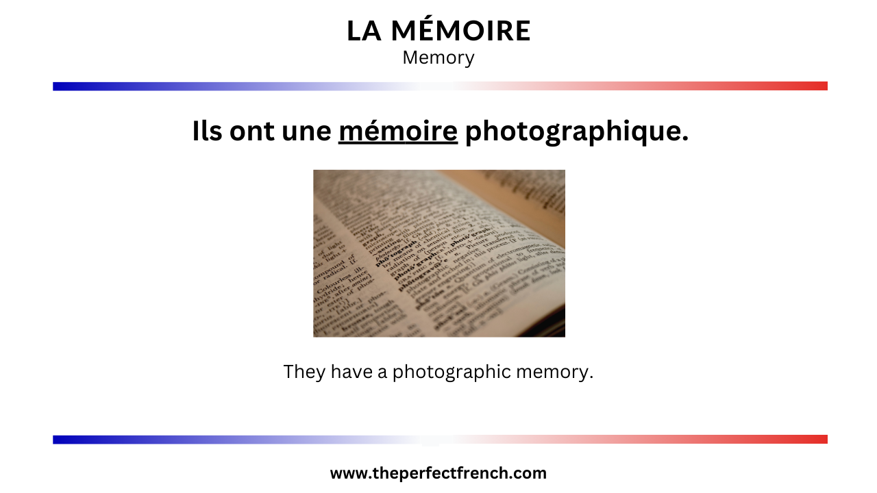 French Word of the Day - La mémoire (Memory) - French Online Language ...