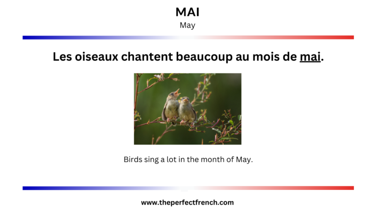 French Word of the Day - Mai (May) - French Online Language Courses ...