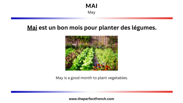 French Word of the Day - Mai (May) - French Online Language Courses ...