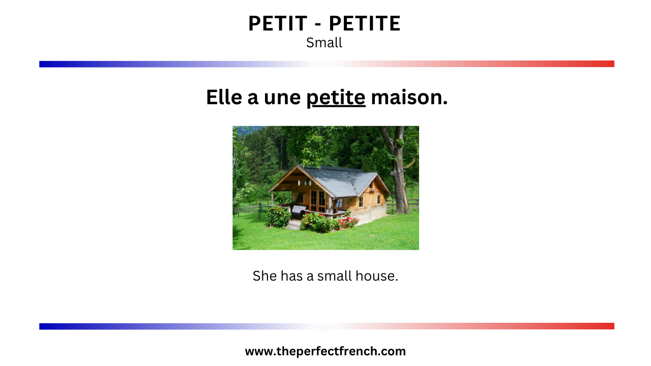 French Word of the Day - Petit - Petite (Small) - French Online ...