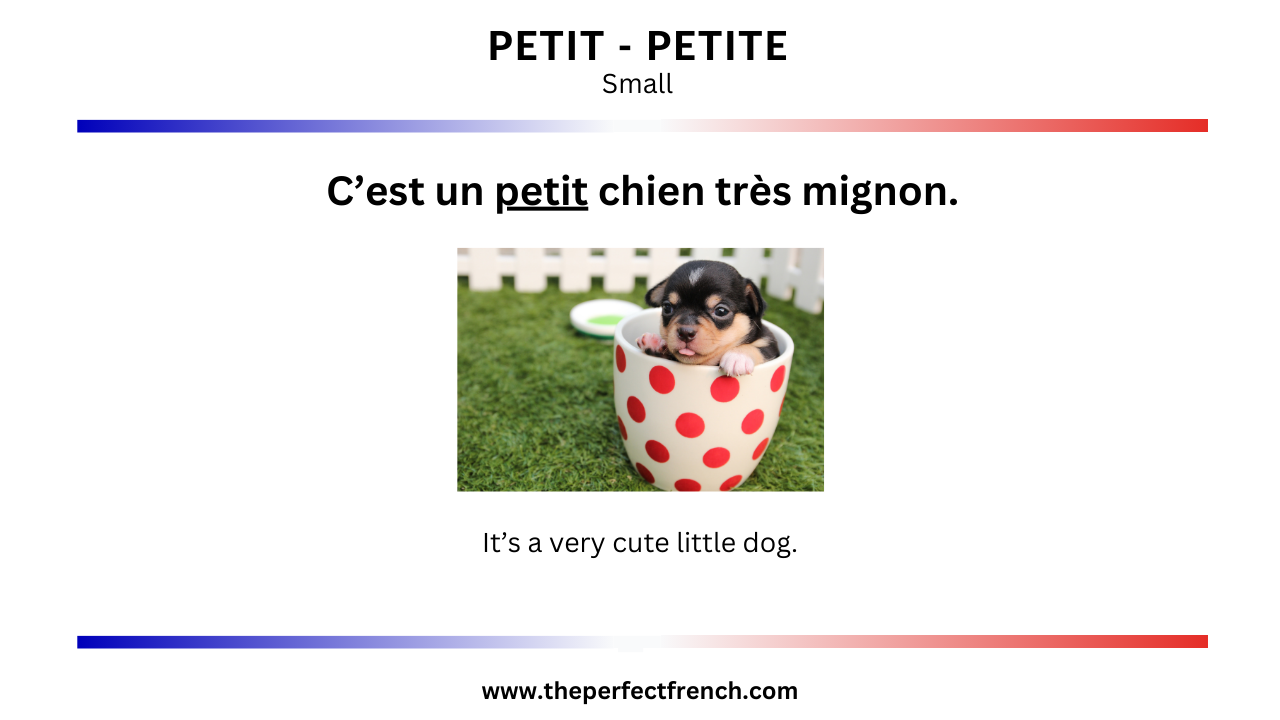French Word of the Day - Petit - Petite (Small) - French Online ...