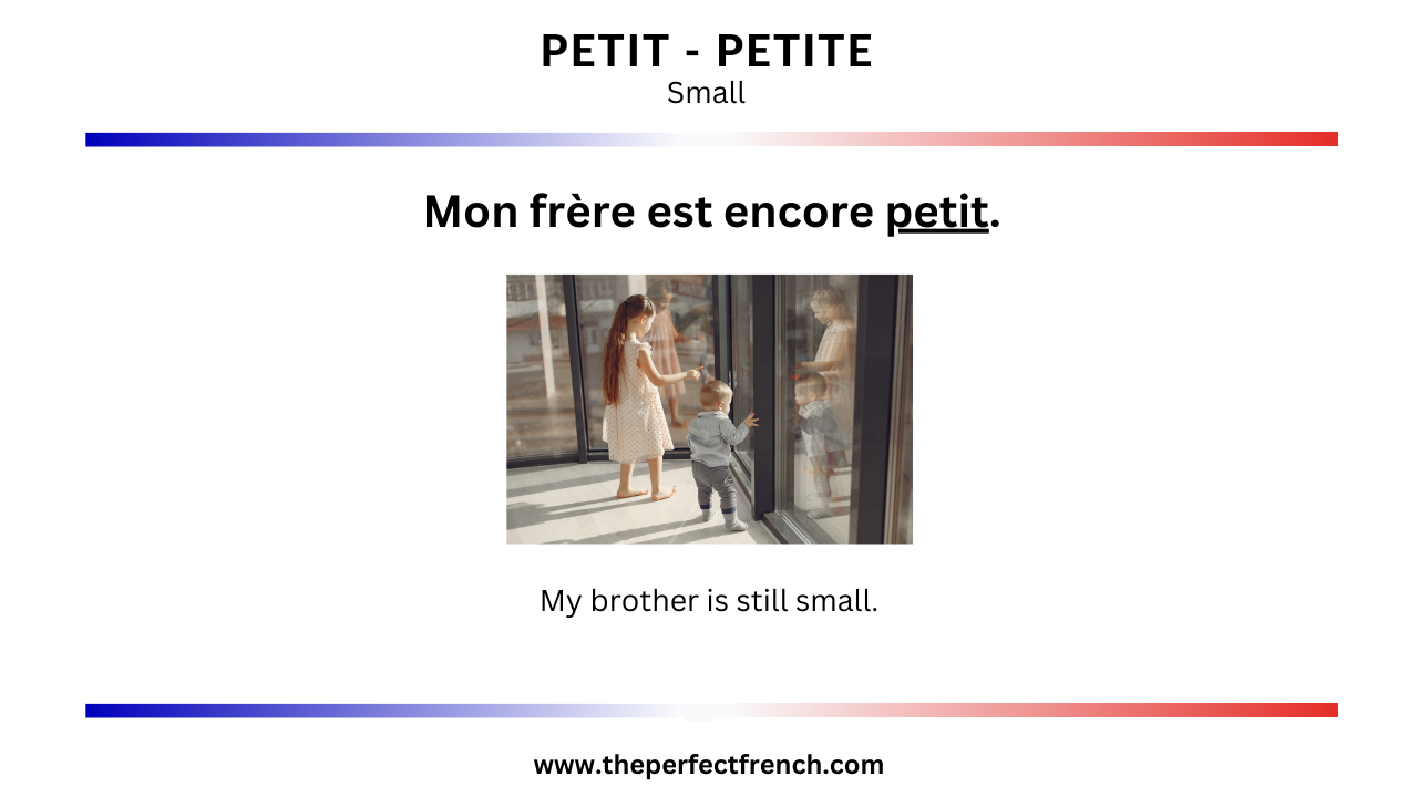 French Word of the Day - Petit - Petite (Small) - French Online ...