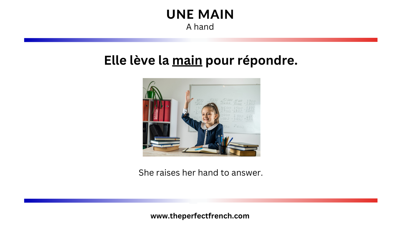 French Word of the Day - Une main (A Hand) - French Online Language ...