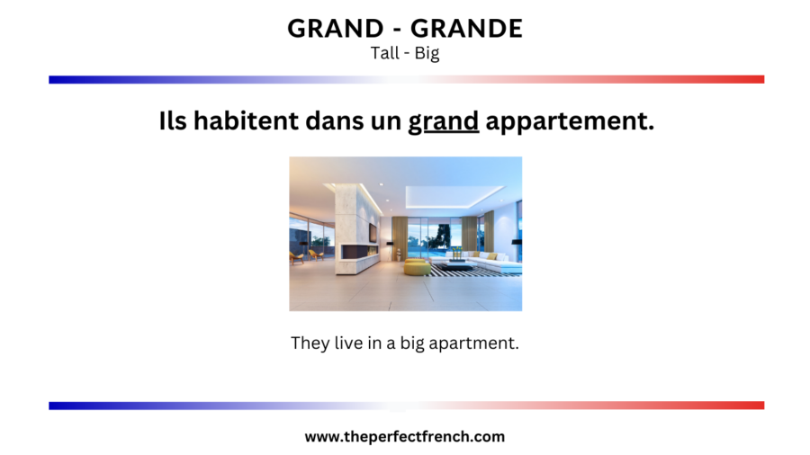 French Word of the Day - Grand - Grande (Tall) - French Online Language ...