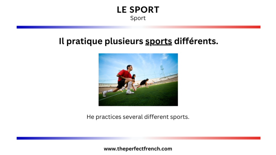 French Word of the Day - Le sport (Sport) - French Online Language ...