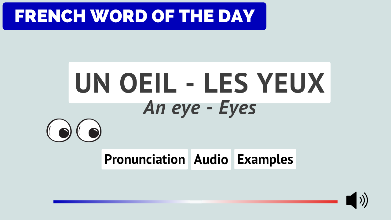 French Word of the Day - Un oeil - Les yeux (An Eye/Eyes) - French ...