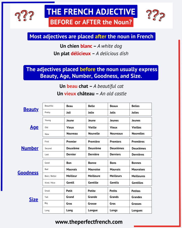Where to Place the Adjective in French? - French Online Language ...