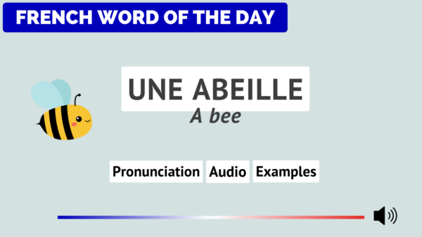 French Word of the Day - Une abeille (A Bee) - French Online Language ...