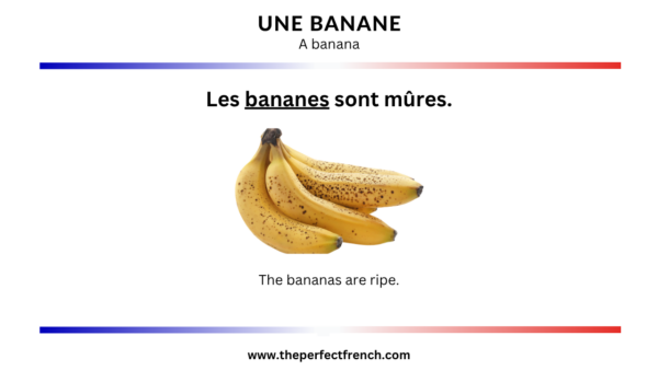 French Word of the Day - Une banane (A Banana) - French Online Language ...
