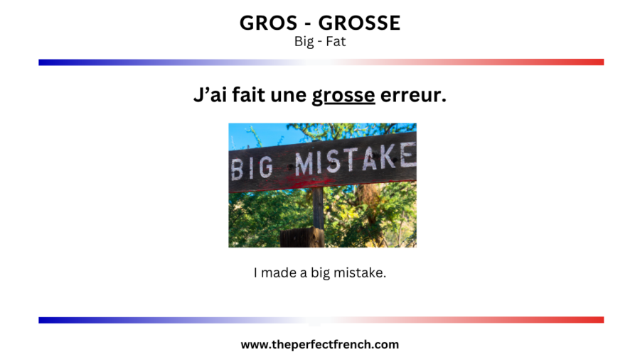 French Word of the Day - Gros - Grosse (Big/Fat) - French Online ...