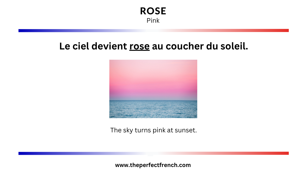 French Word of the Day - Rose (Pink) - French Online Language Courses ...