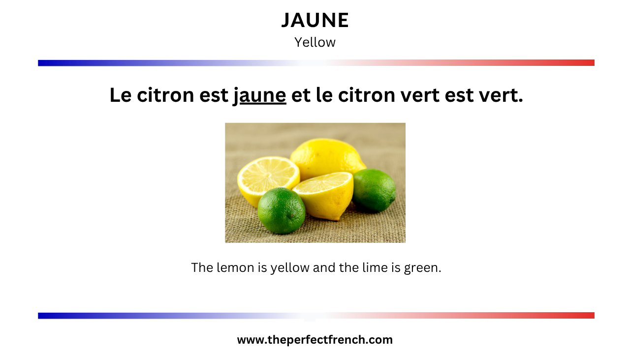 French Word of the Day - Jaune (Yellow) - French Online Language ...