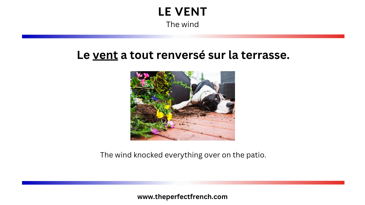 French Word of the Day - Le vent (The Wind) - French Online Language ...