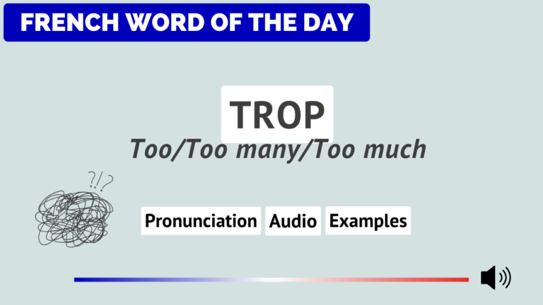 French Word of the Day - Trop (Too/Too Many/Too Much) - French Online ...