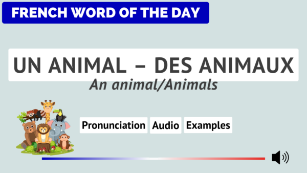 French Vocabulary: Les animaux - Animals - French Online Language ...