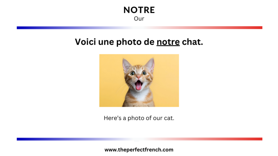 French Word of the Day - Notre (Our) - French Online Language Courses ...