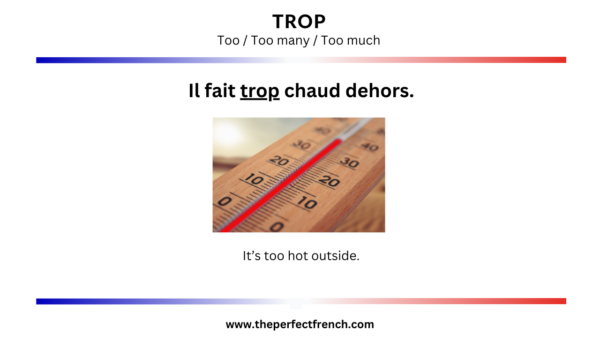 French Word of the Day - Trop (Too/Too Many/Too Much) - French Online ...
