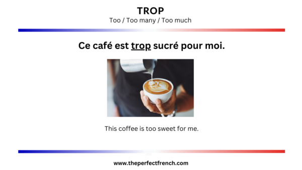 French Word of the Day - Trop (Too/Too Many/Too Much) - French Online ...