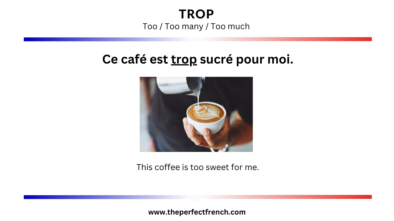 French Word of the Day - Trop (Too/Too Many/Too Much) - French Online ...